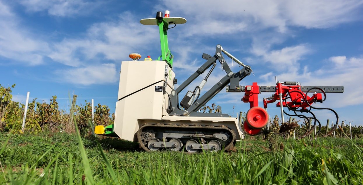 Un robot autonome et électrique pour les vignes