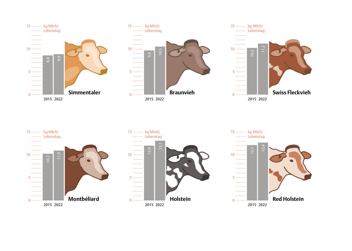 Mehr Milch pro Lebenstag