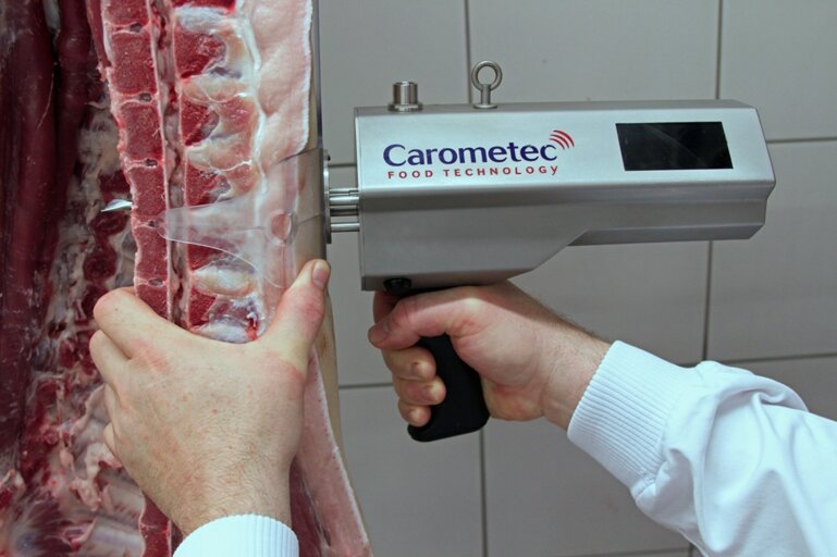 Schweinemast: Magerfleischanteil optimieren - UFA-Revue