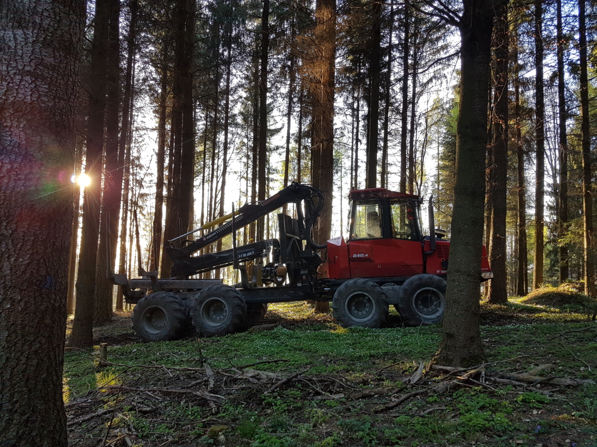 Neue Waldstrategie - UFA-Revue