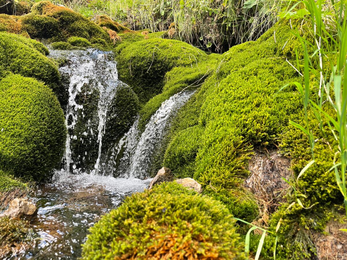 Das Wasser Ist Die Quelle Des Konflikts