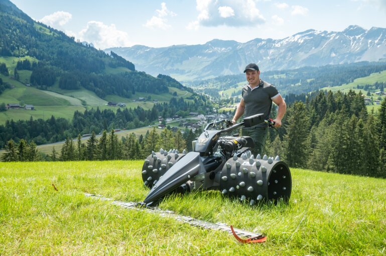 Rapid Monta Königsmodell-Sonderedition