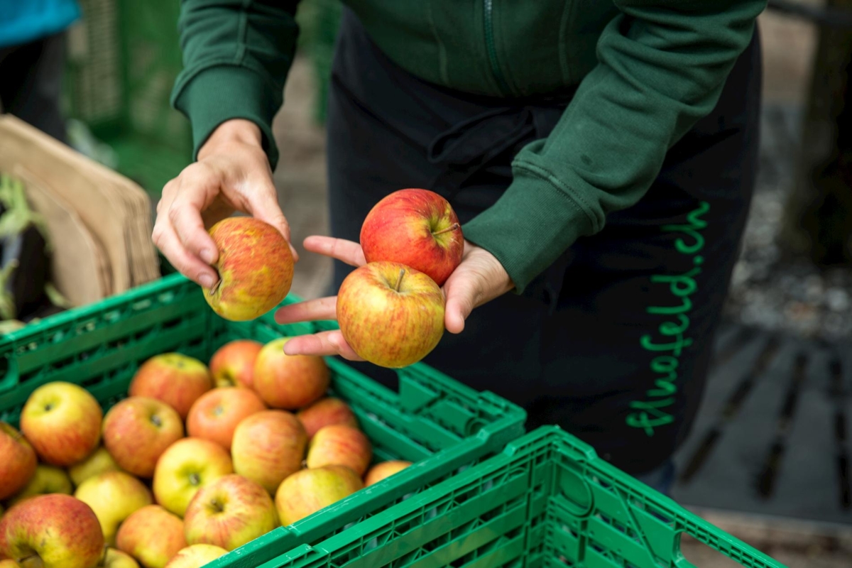 Profitons de la popularité de la vente directe