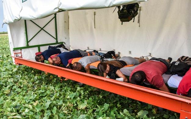 Keine Sauregurkenzeit