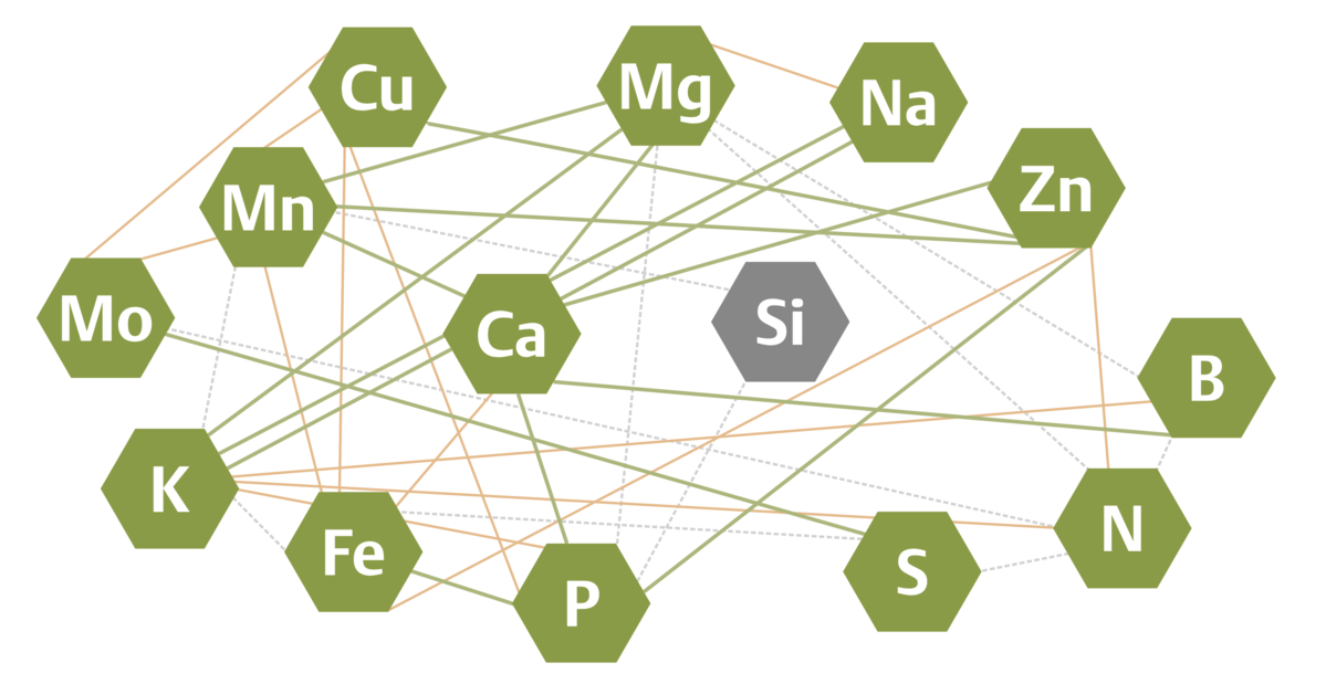 Eléments nutritifs pour les plantes